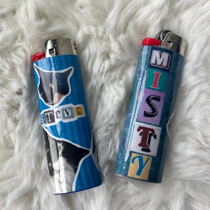 Custom Pet Lighter, Custom Lighter With Name and Photos, Cool Lighter ...