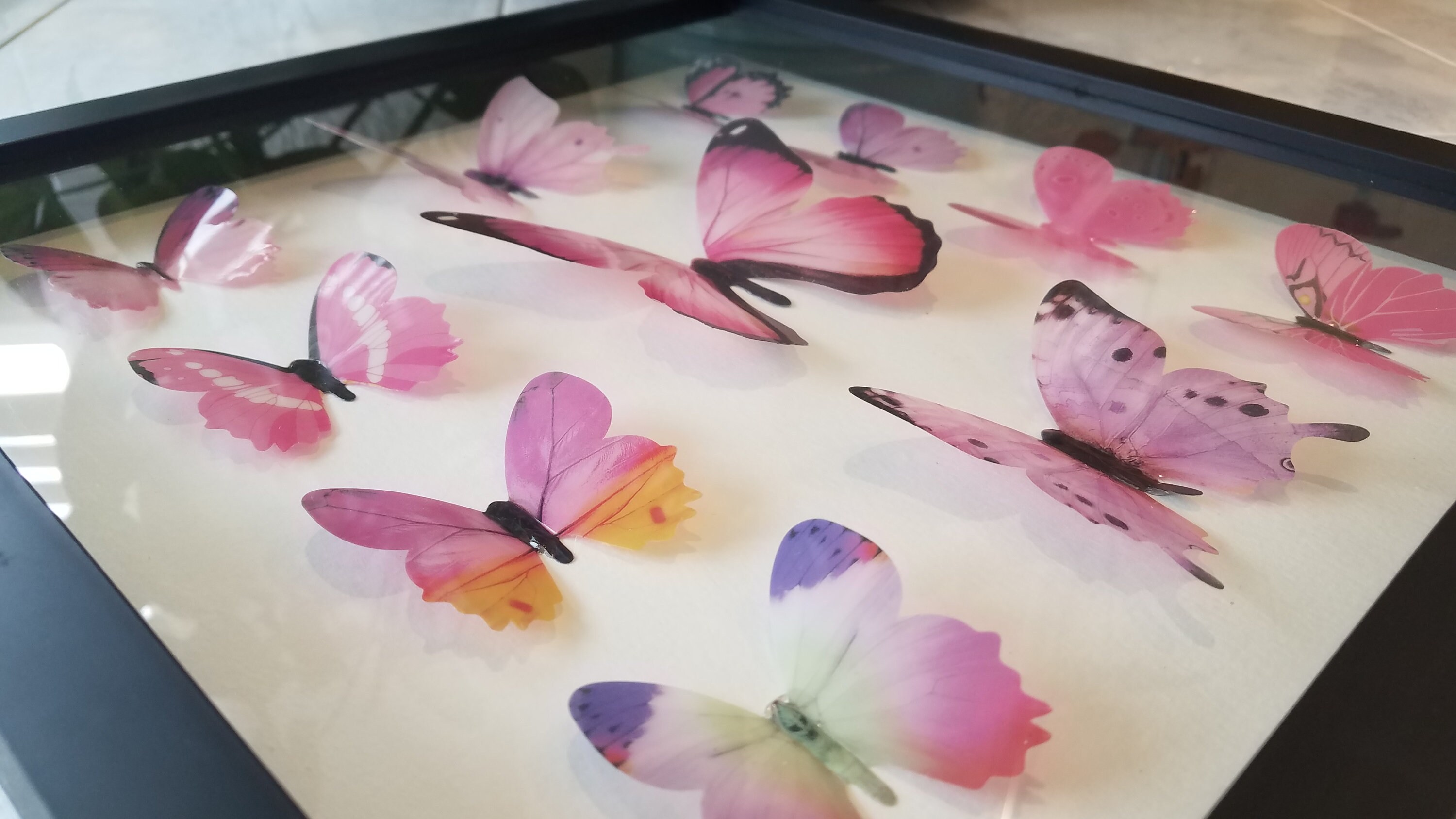 Butterfly Shadow Box Wall Art at Penny Troche blog