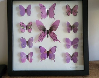 Butterfly Shadow Box - Etsy