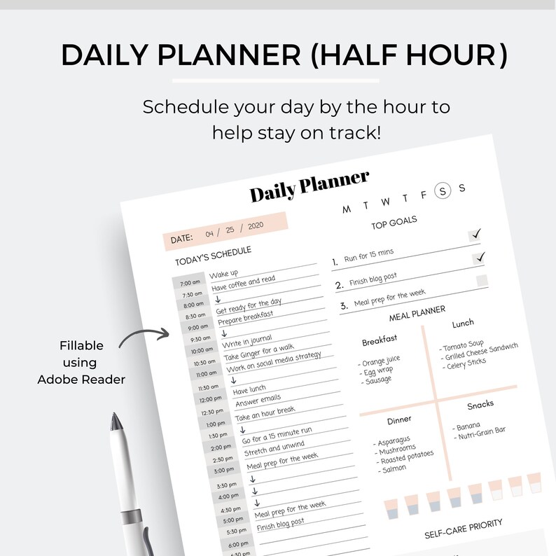 Daily & Weekly Fillable Planner: Printable PDF, Fillable PDF, Instant ...