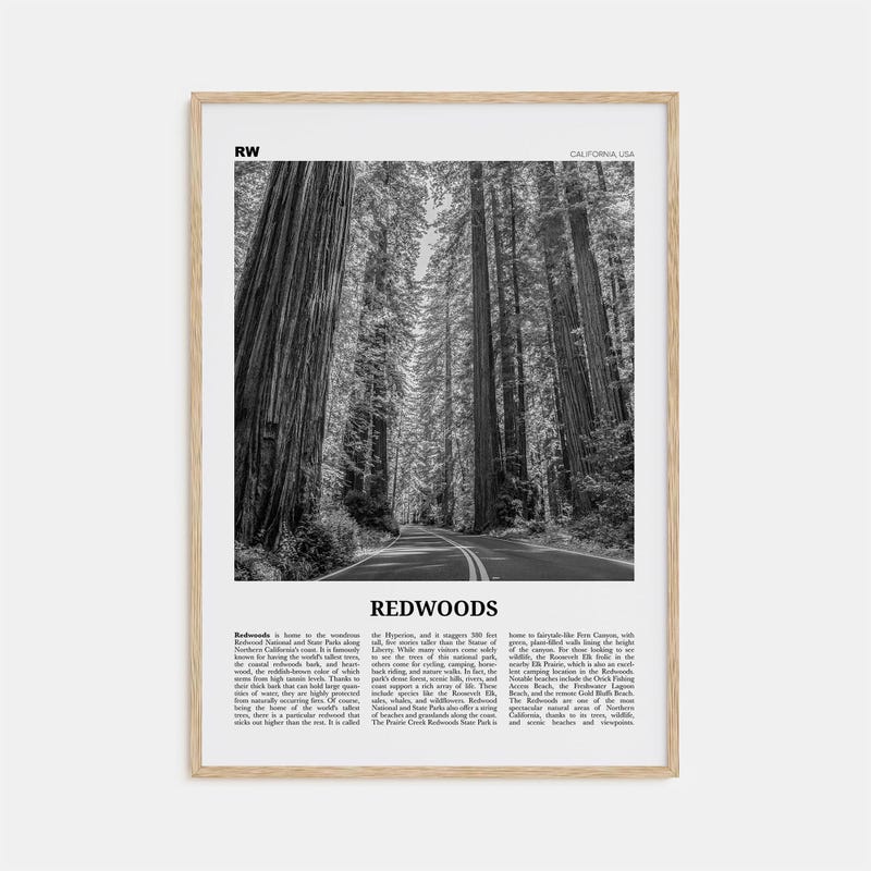 Redwood Print - Etsy