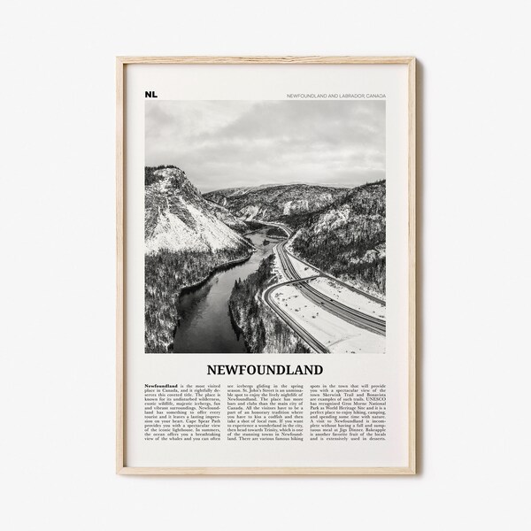 Black and White Newfoundland Wall Art - Etsy