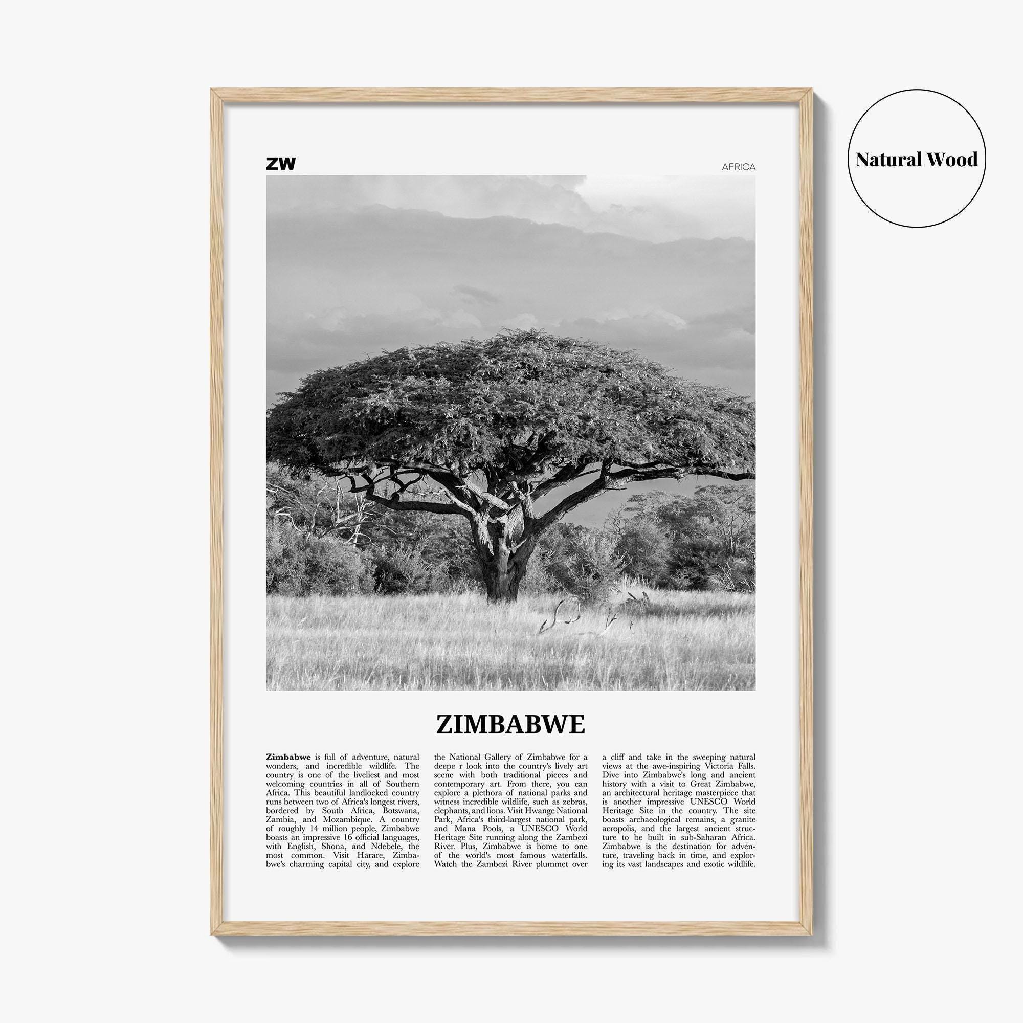 Zimbabwe Poster Print Black and White, Africa Travel Wall Art, Savanna ...
