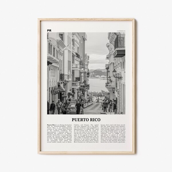 Puerto Rico Poster - Etsy