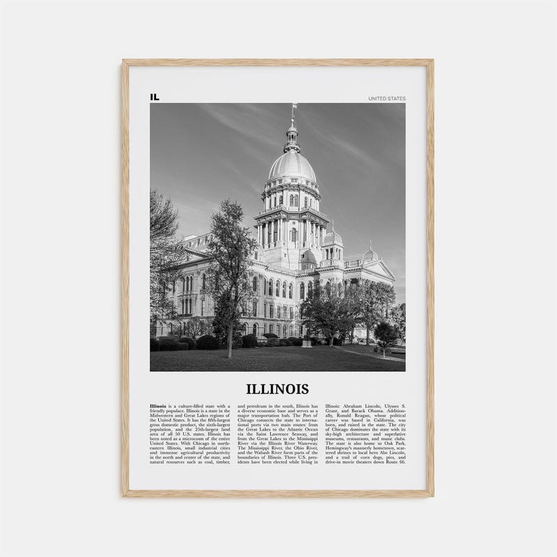 Illinois Poster - Etsy