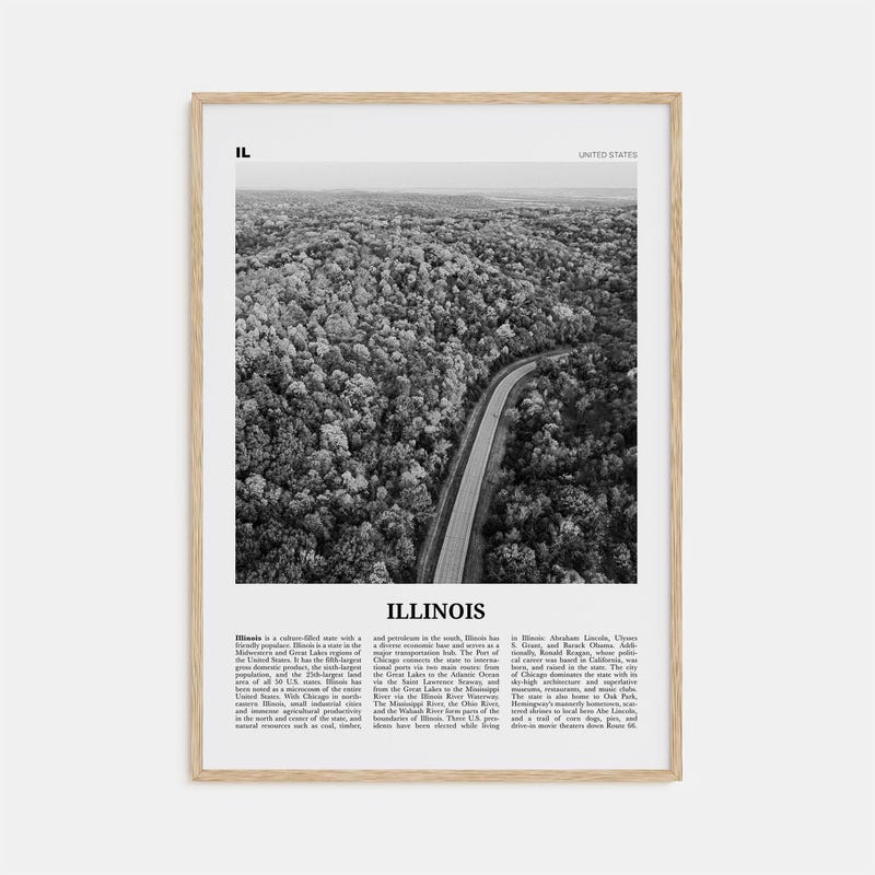 Illinois Poster - Etsy