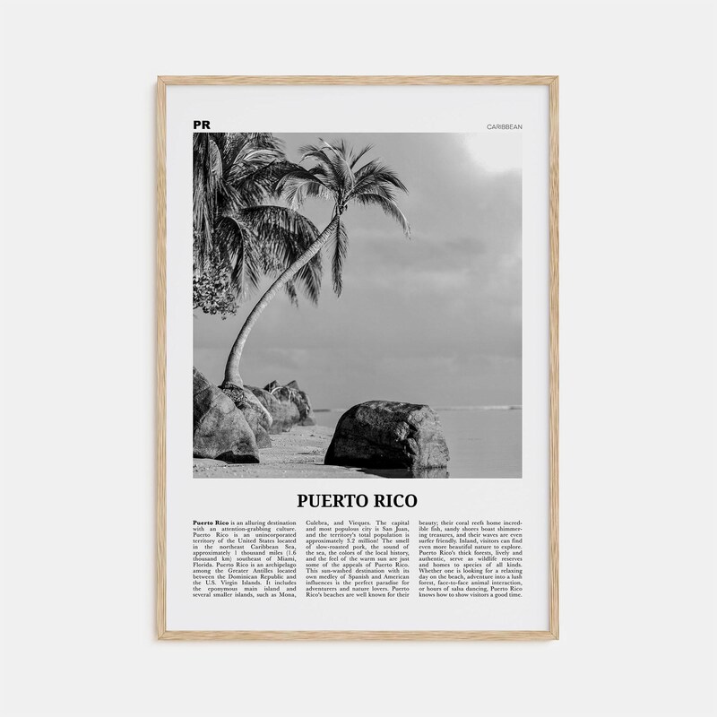 Puerto Rico Poster - Etsy