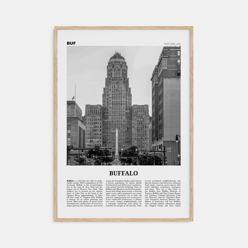 Buffalo Poster - Etsy