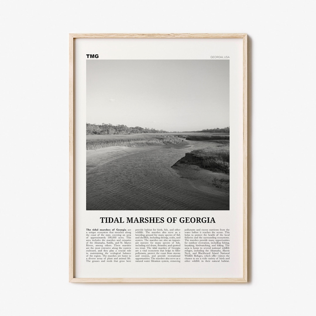 Tidal Marshes of Georgia Print Black and White, Tidal Marshes Wall Art ...
