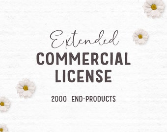 Extended License for Commercial Use of Any Clipart Set - Etsy