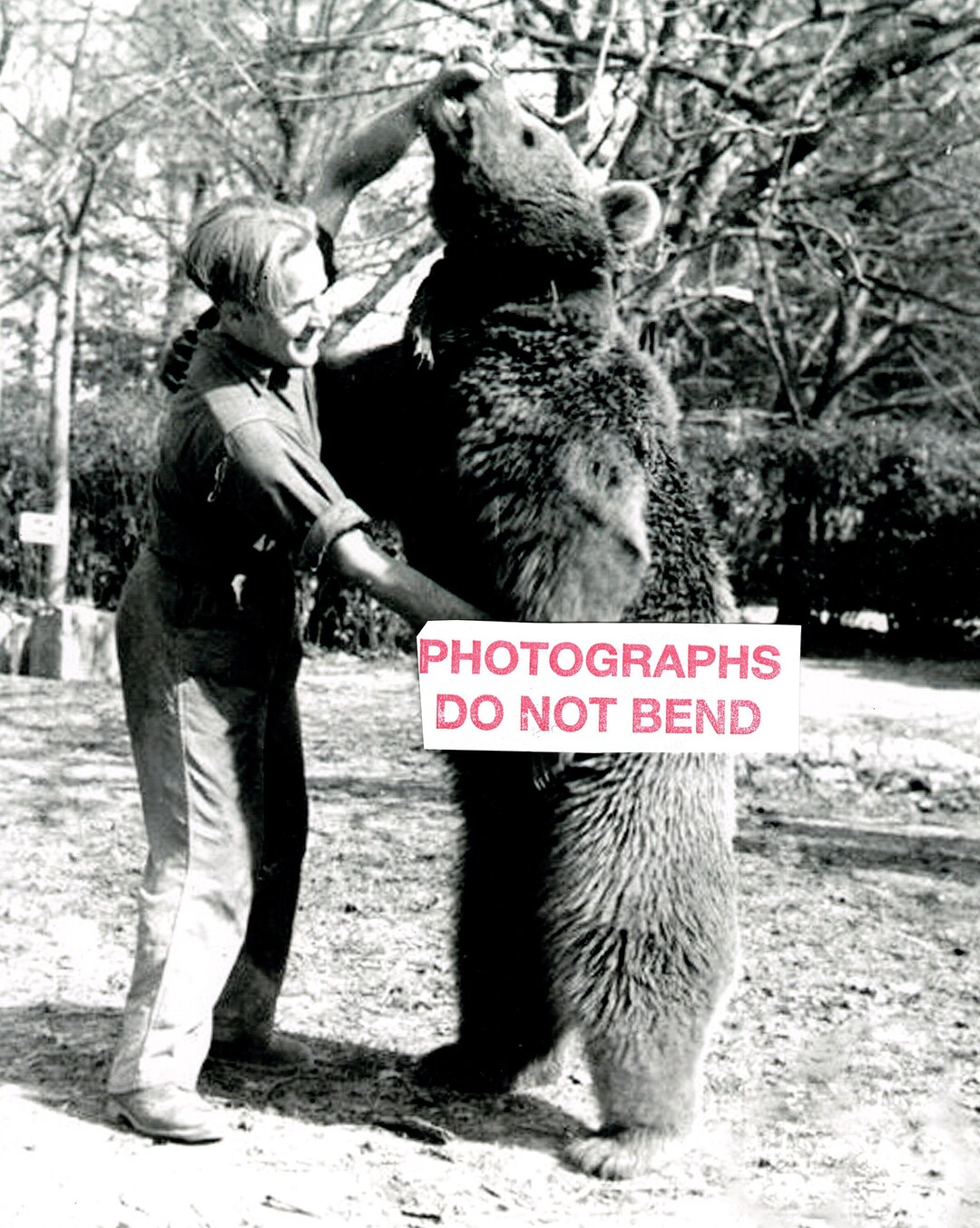 8x10 Photo Wojtek 10, the Polish WW2 Bear, Circa 1942 - Etsy