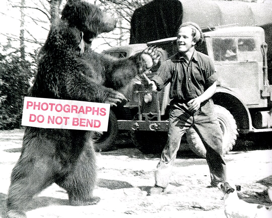 8x10 Photo Wojtek 8 the Polish WW2 Bear Circa 1942 - Etsy