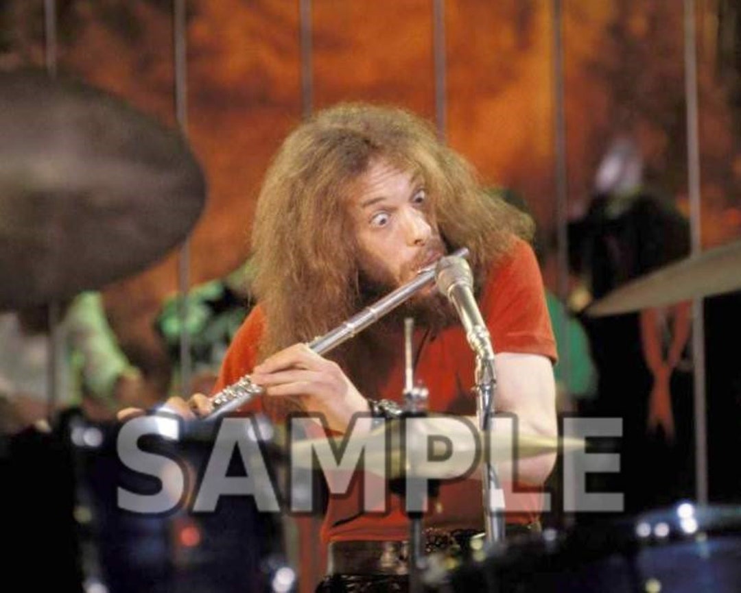 8x10 Photo Jethro Tull, Pop Singers, Rock 'n Roll, Musicians Publicity ...