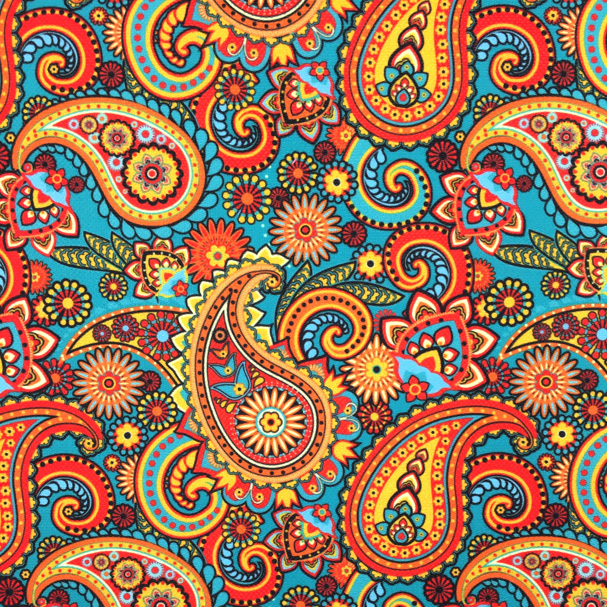 Colorful Paisley Fabric