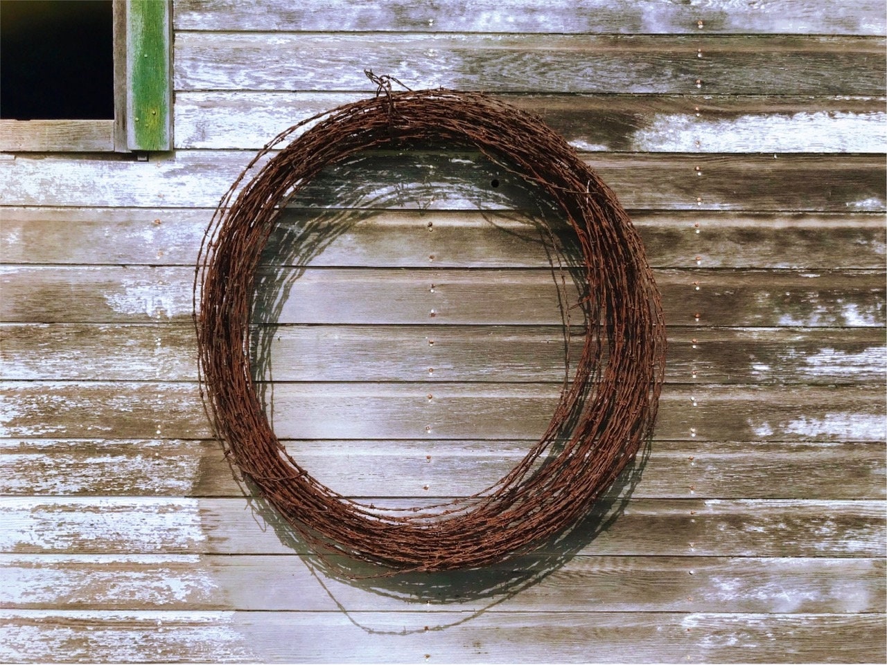 Barbed Wire Coil