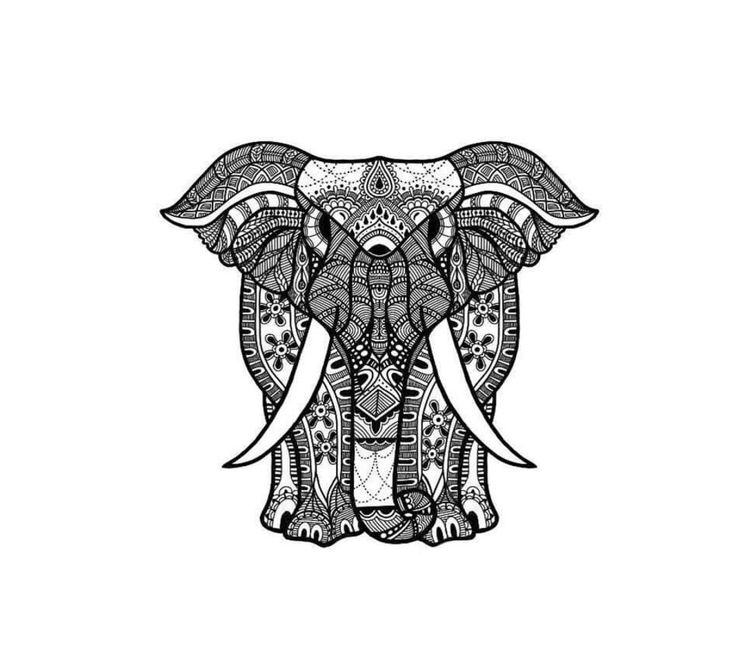 Mandala Elephant - Digital Colouring Page - Etsy