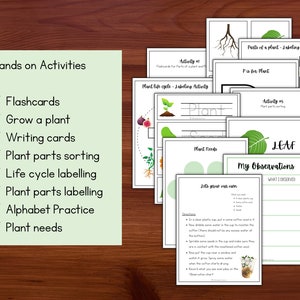All About Plants Homeschool Unit Study Printable, Kindergarten ...