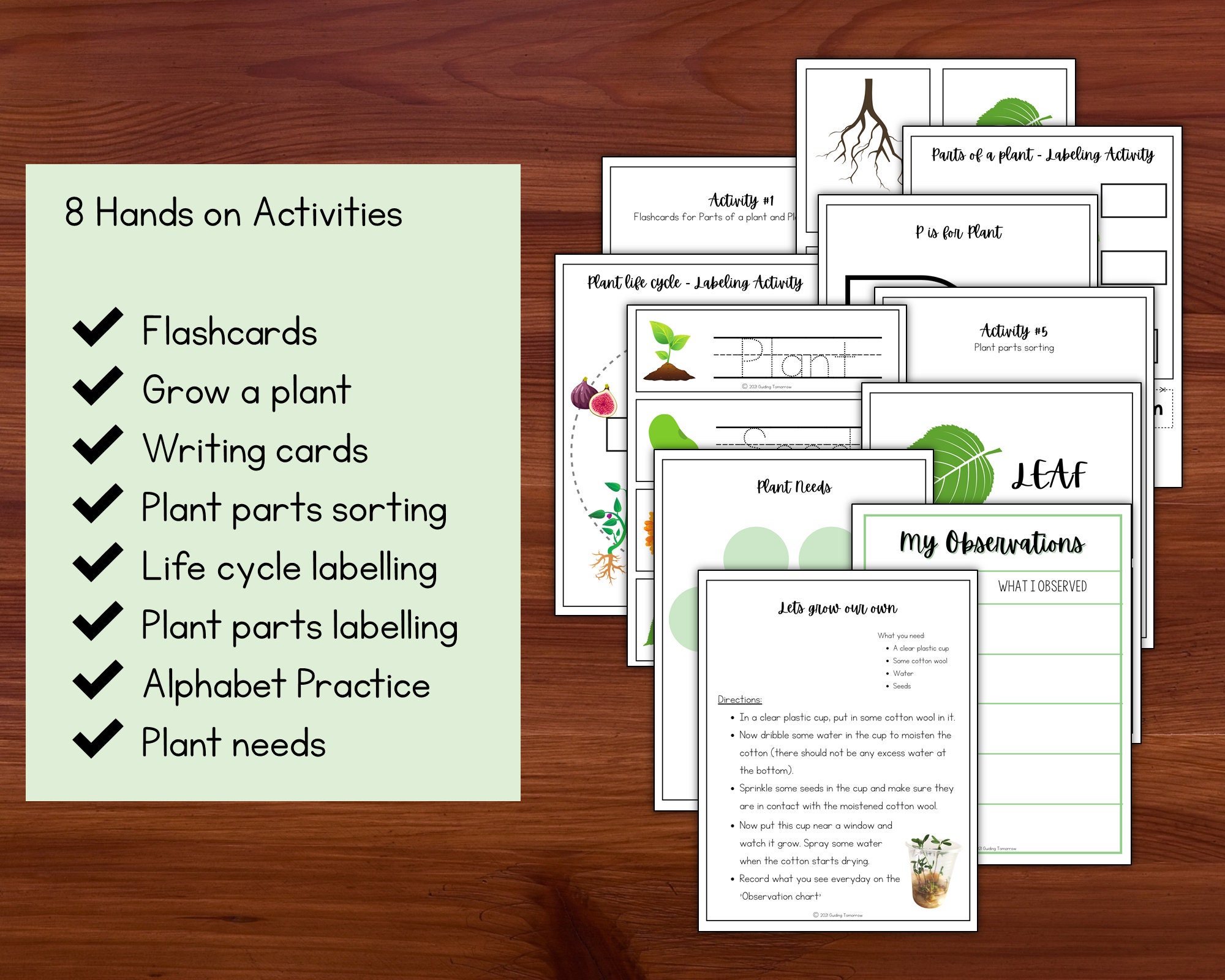 All About Plants Homeschool Unit Study Printable, Kindergarten ...
