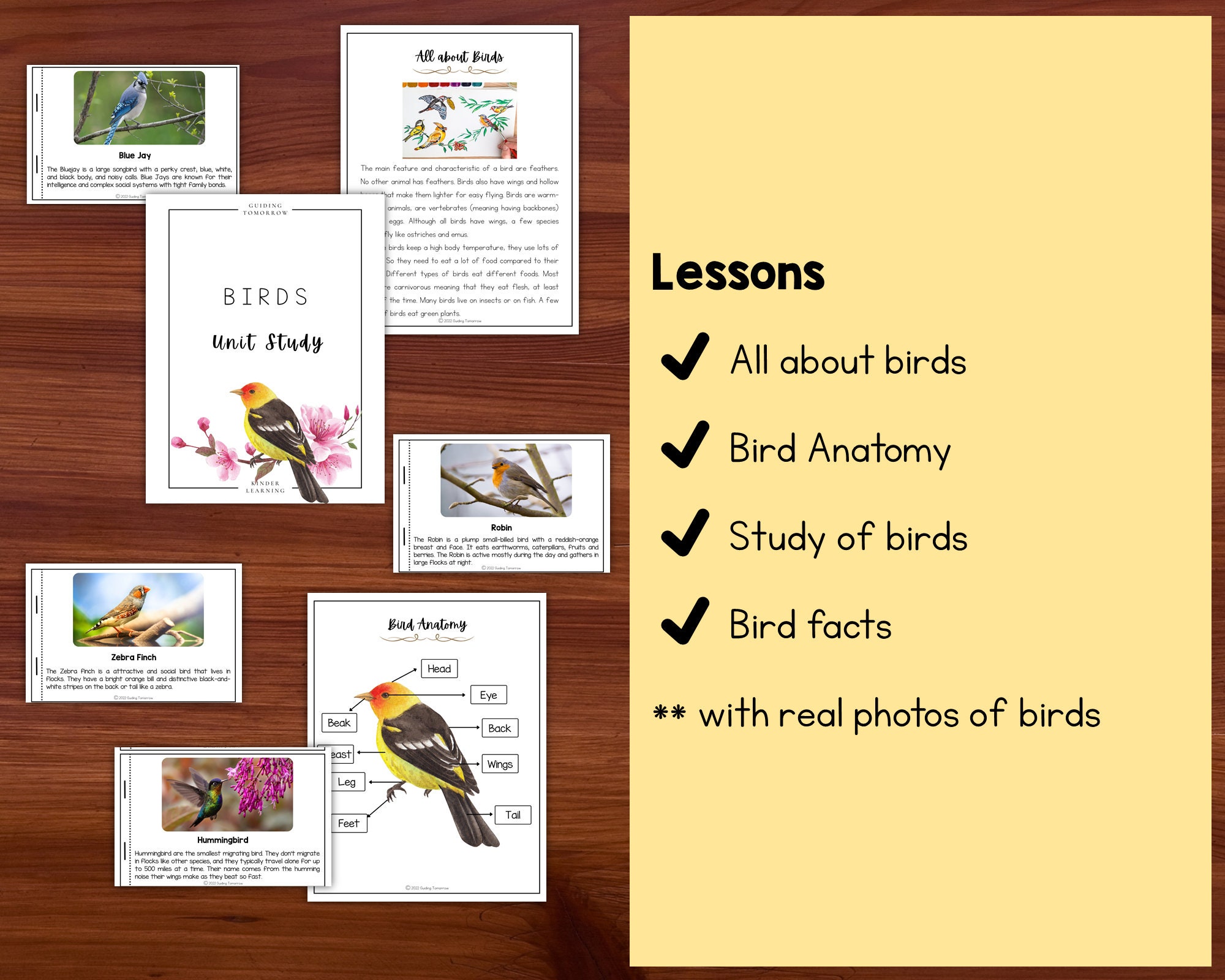 Kindergarten Curriculum - All About Birds Homeschool Lesson, Anatomy of ...