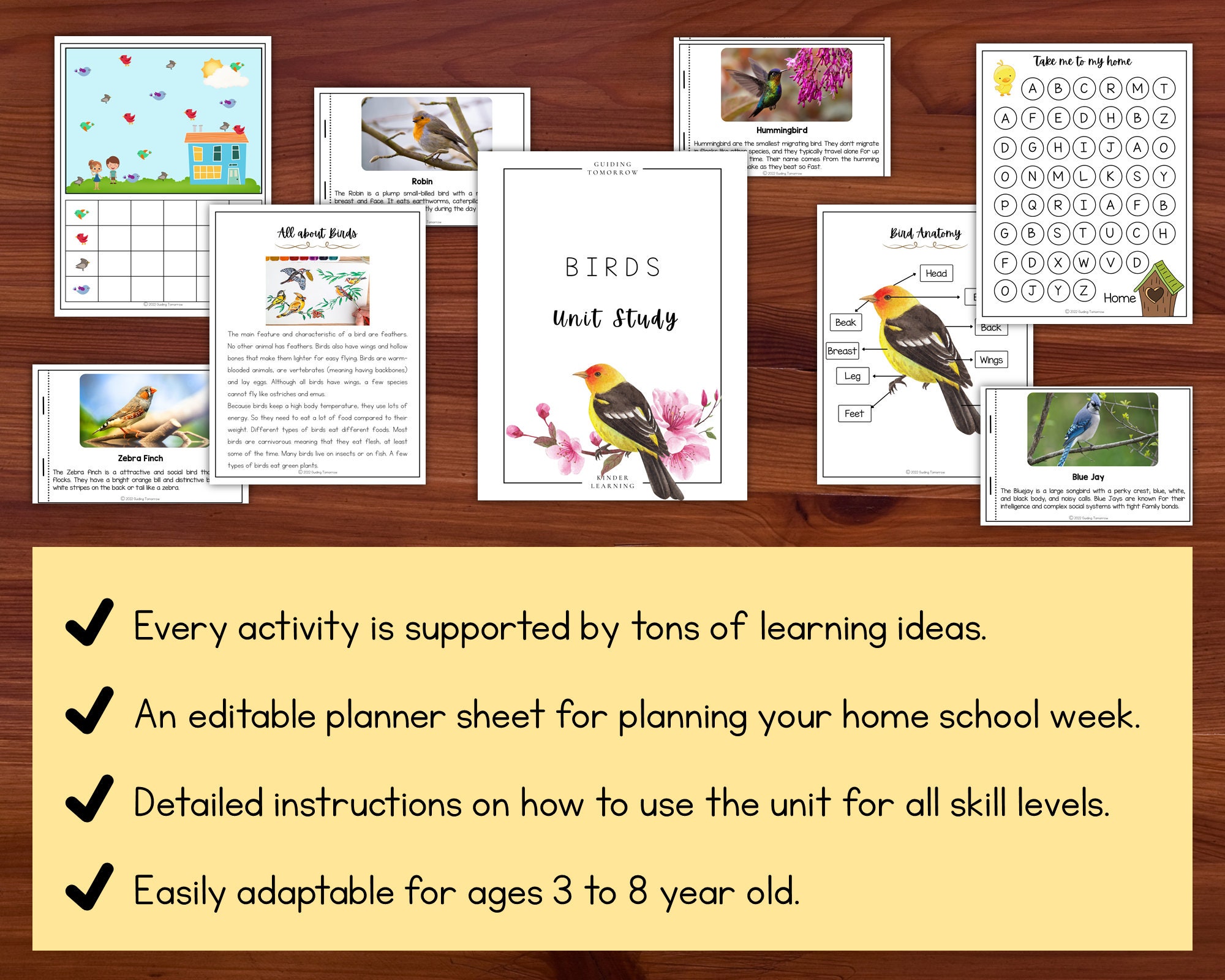 Kindergarten Curriculum - All About Birds Homeschool Lesson, Anatomy of ...