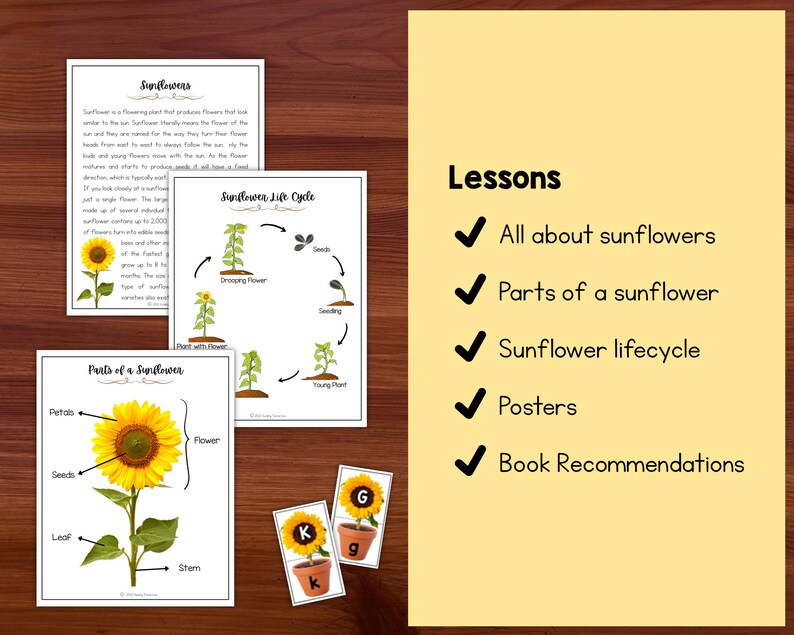 Sunflower Unit Study, Sunflower Lifecycle, Parts of Sunflower ...