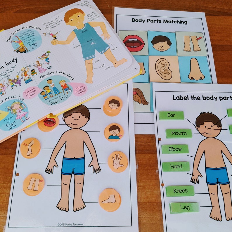 Body Parts Printable Activity, Human Body Busy Book, Body Parts ...