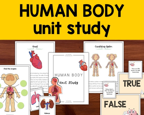 Human Body Anatomy Unit Body Organs and Body Systems | Etsy