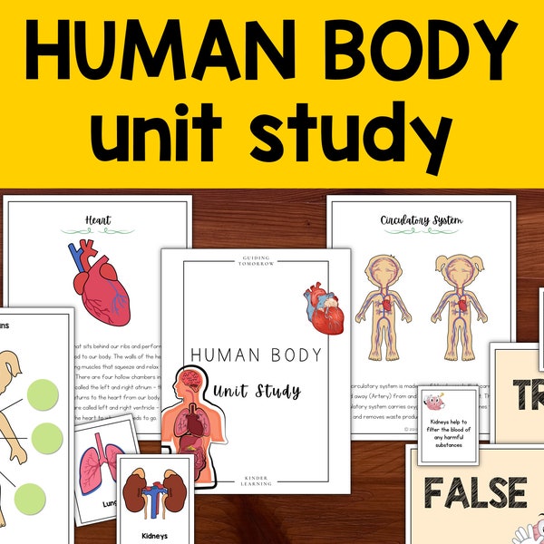 Homeschool Kindergarten Human Anatomy - Etsy