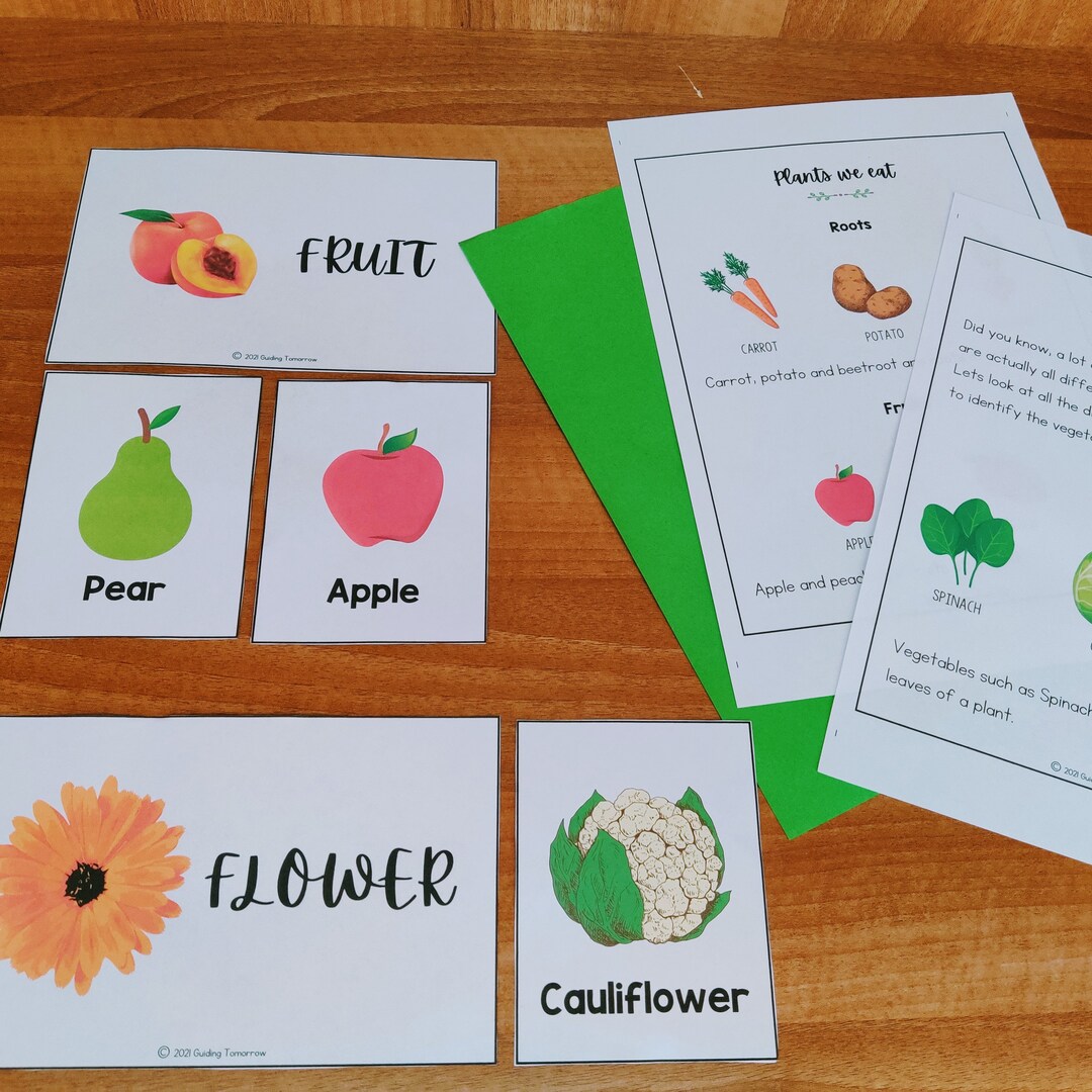 Plants Parts We Eat Mini Unit, Kindergarten Science Curriculum ...