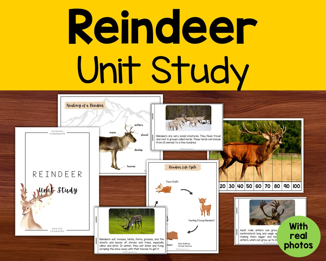 Reindeer Anatomy, Reindeer Lifecycle, Reindeer Unit, Reindeer Lesson ...