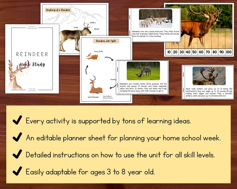 Reindeer Anatomy, Reindeer Lifecycle, Reindeer Unit, Reindeer Lesson ...
