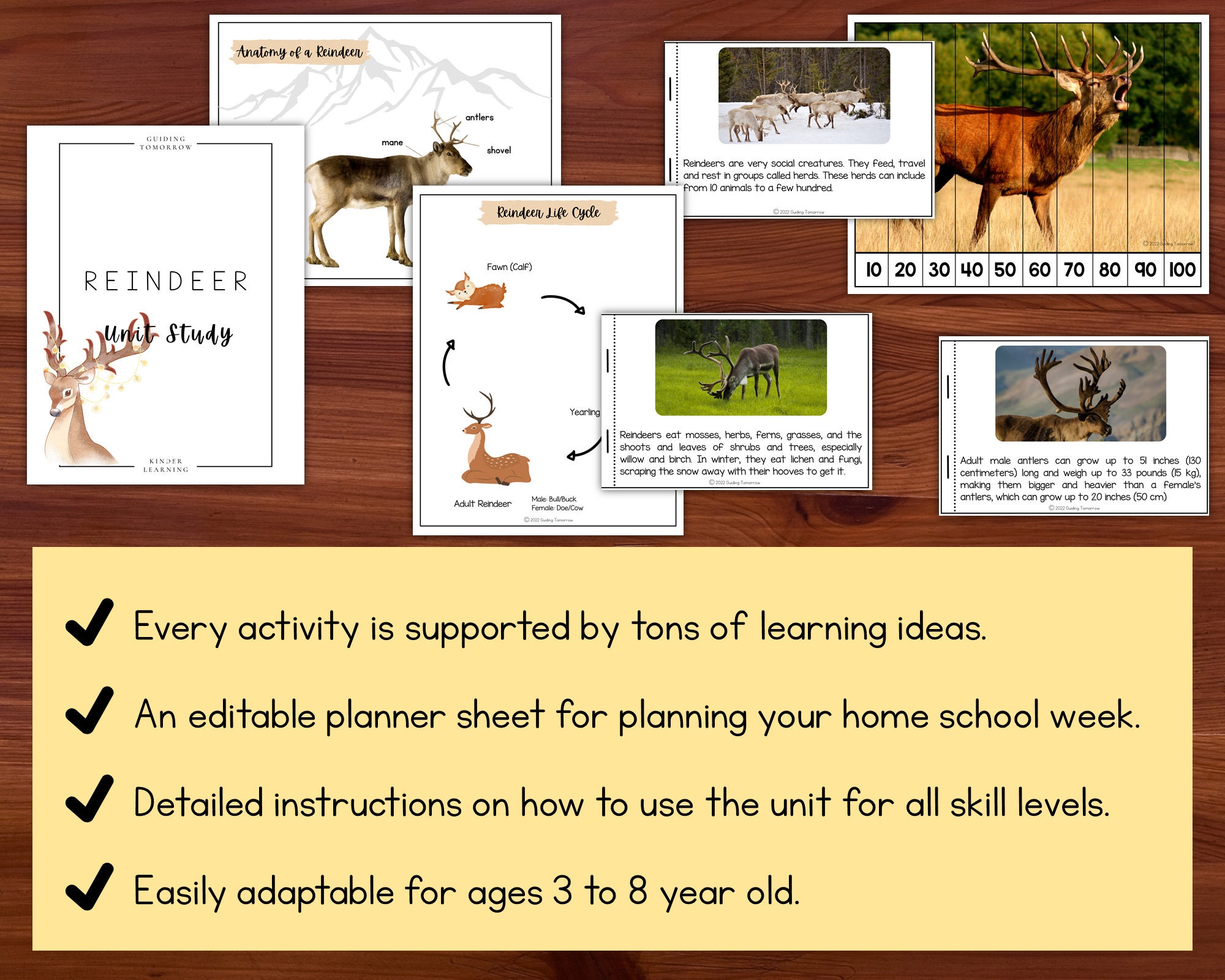 Reindeer Anatomy, Reindeer Lifecycle, Reindeer Unit, Reindeer Lesson ...