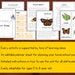 Butterfly Science and Nature Unit Study, Homeschool Learning Curriculum ...