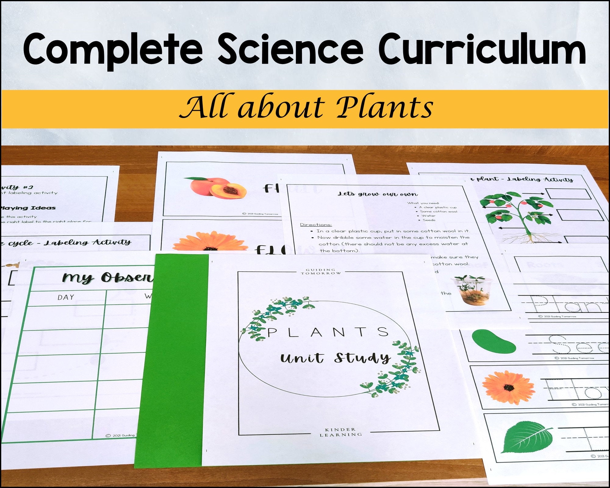 Kindergarten Homeschool Curriculum First Grade Homeschool Science Unit ...