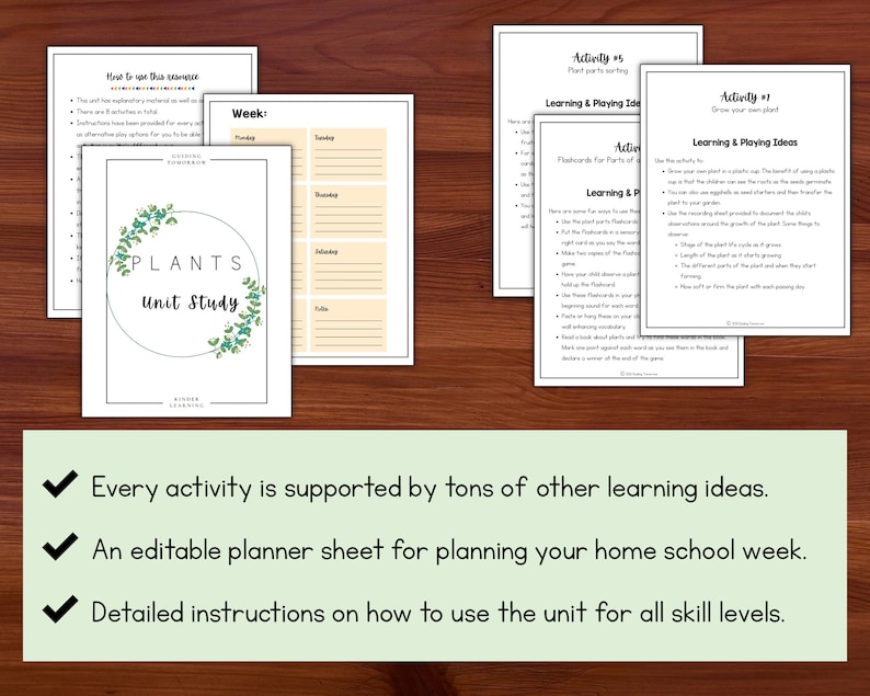 All About Plants Homeschool Unit Study Printable, Kindergarten ...