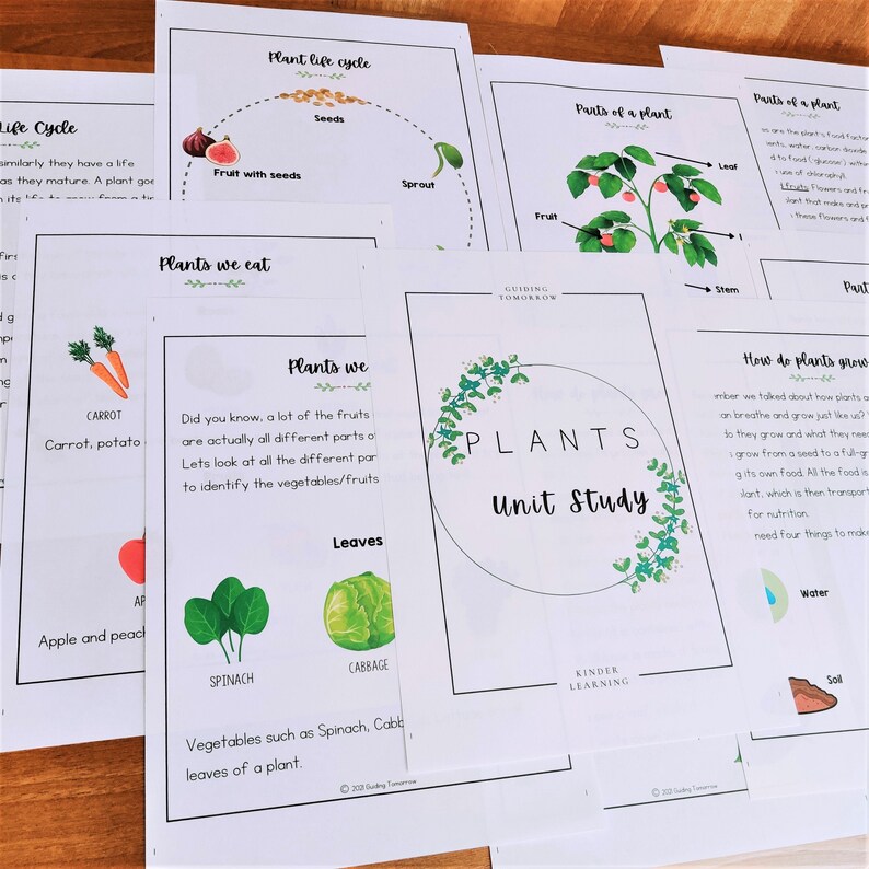 All About Plants Homeschool Unit Study Printable, Kindergarten ...
