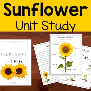 Sunflower Unit Study, Sunflower Lifecycle, Parts of Sunflower ...