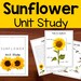 Sunflower Unit Study, Sunflower Lifecycle, Parts of Sunflower ...