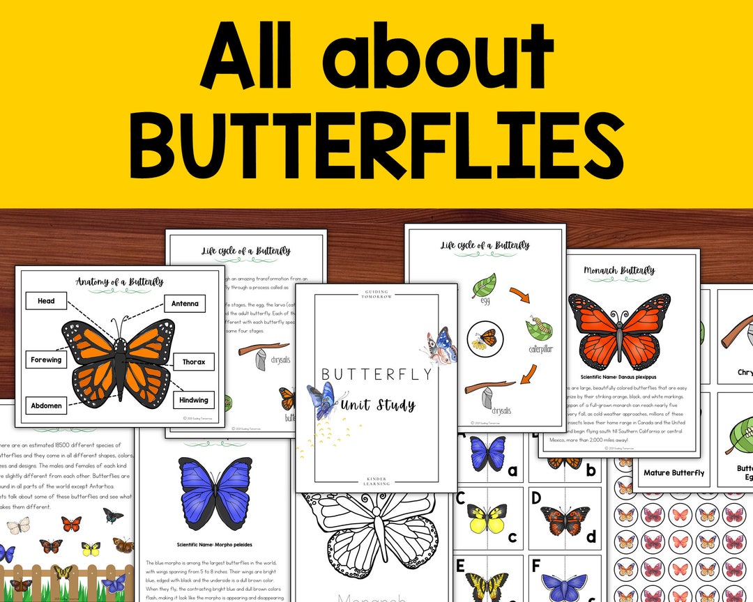 Butterfly Science and Nature Unit Study, Homeschool Learning Curriculum ...