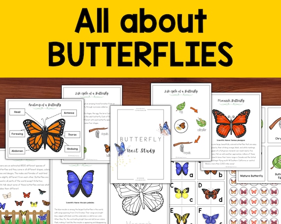 Butterfly Science and Nature Unit Study Homeschool Learning | Etsy