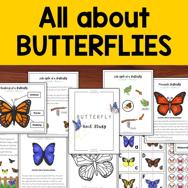 Butterfly Anatomy - Etsy