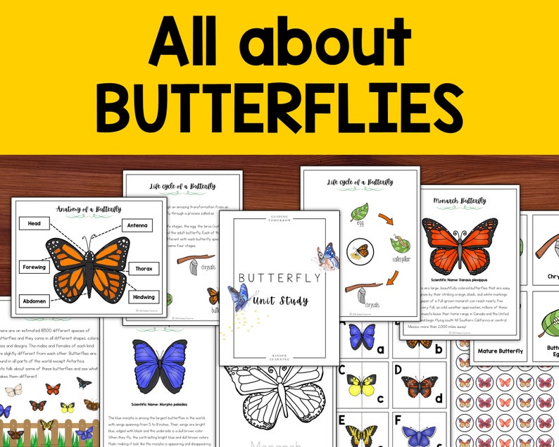 Butterfly Science and Nature Unit Study, Homeschool Learning Curriculum ...