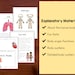 Human Body Anatomy Unit, Body Organs and Body Systems, Homeschool ...