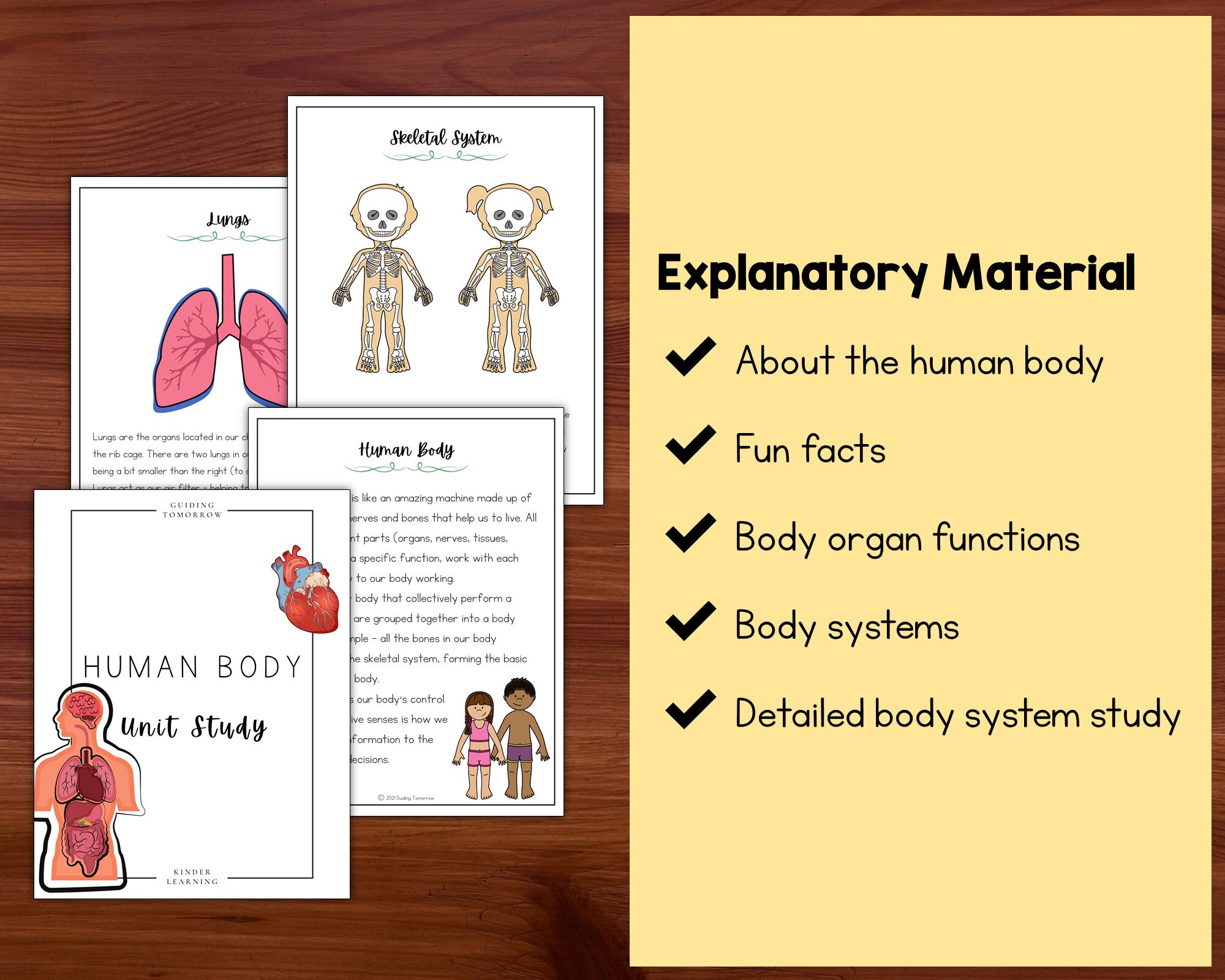Human Body Anatomy Unit, Body Organs and Body Systems, Homeschool ...