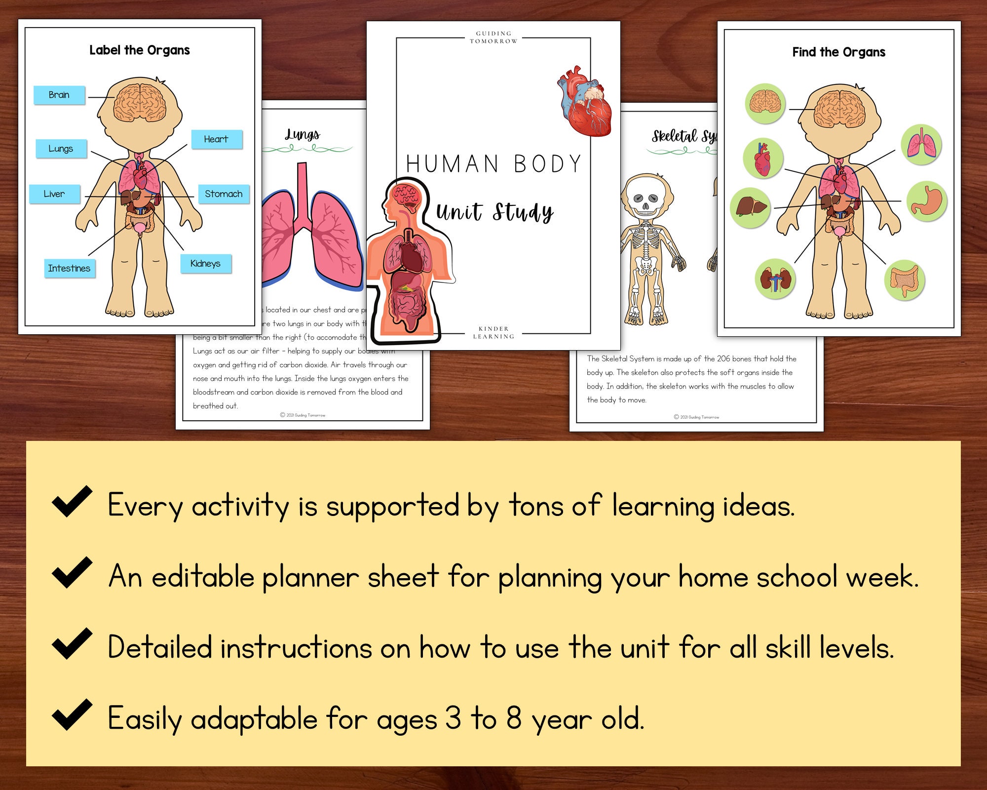 Human Body Anatomy Unit, Body Organs and Body Systems, Homeschool ...