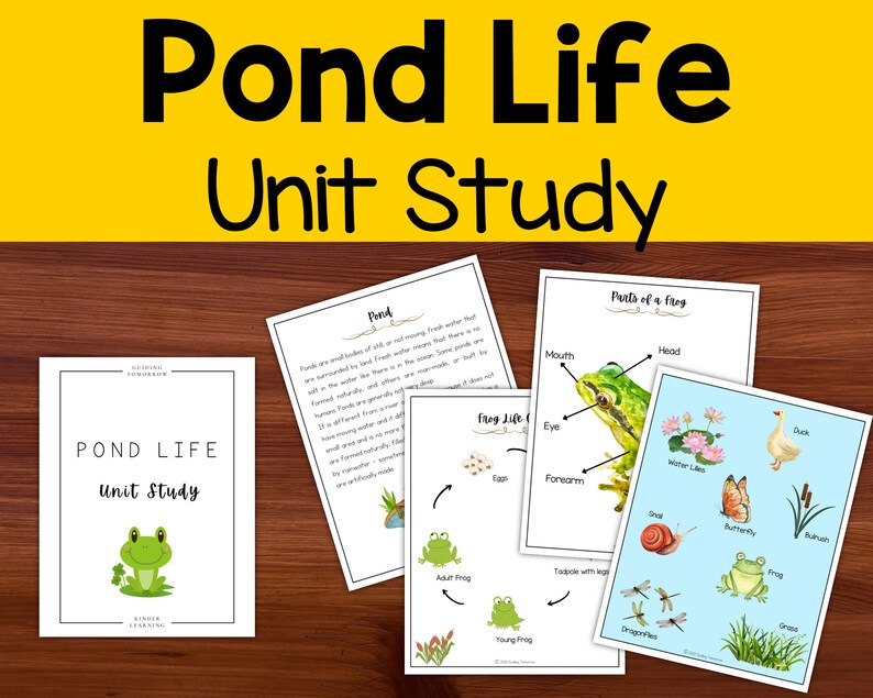Kindergarten Homeschool Curriculum Pond Life Unit Science Activity ...