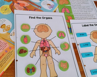 Busy Book Printable Activity: the Brain - Etsy