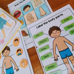 Body Parts Printable Activity, Human Body Busy Book, Body Parts ...