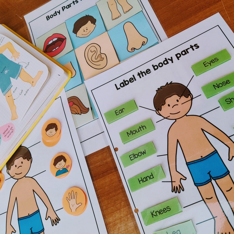 Body Parts Printable Activity, Human Body Busy Book, Body Parts ...