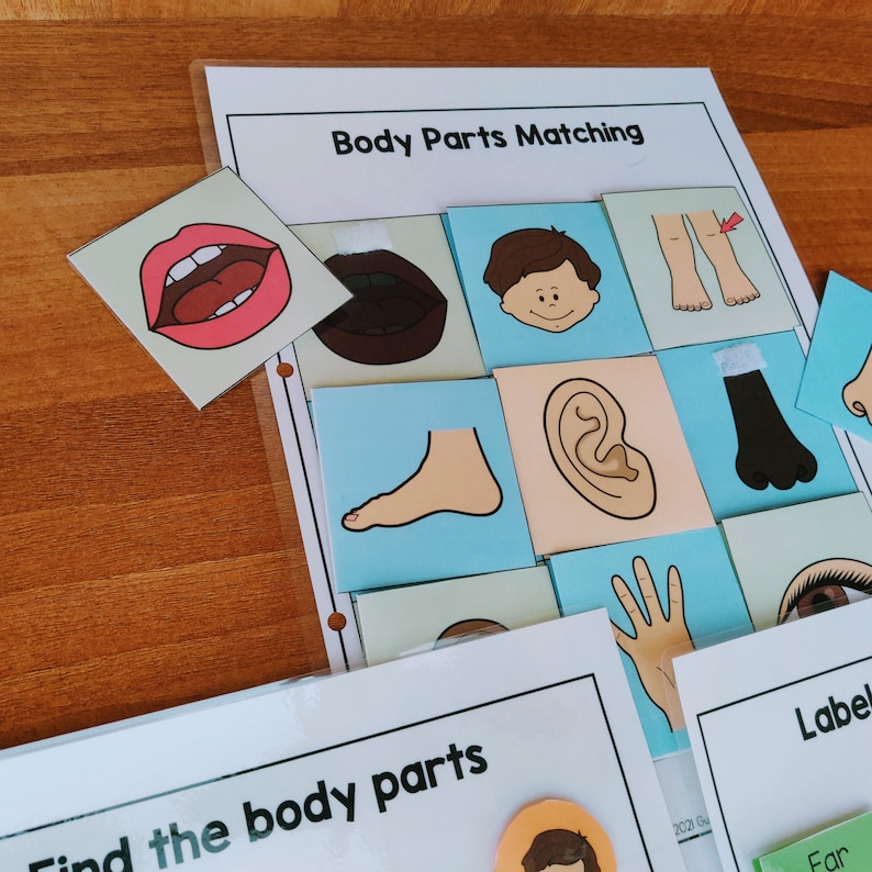 Body Parts Printable Activity, Human Body Busy Book, Body Parts ...